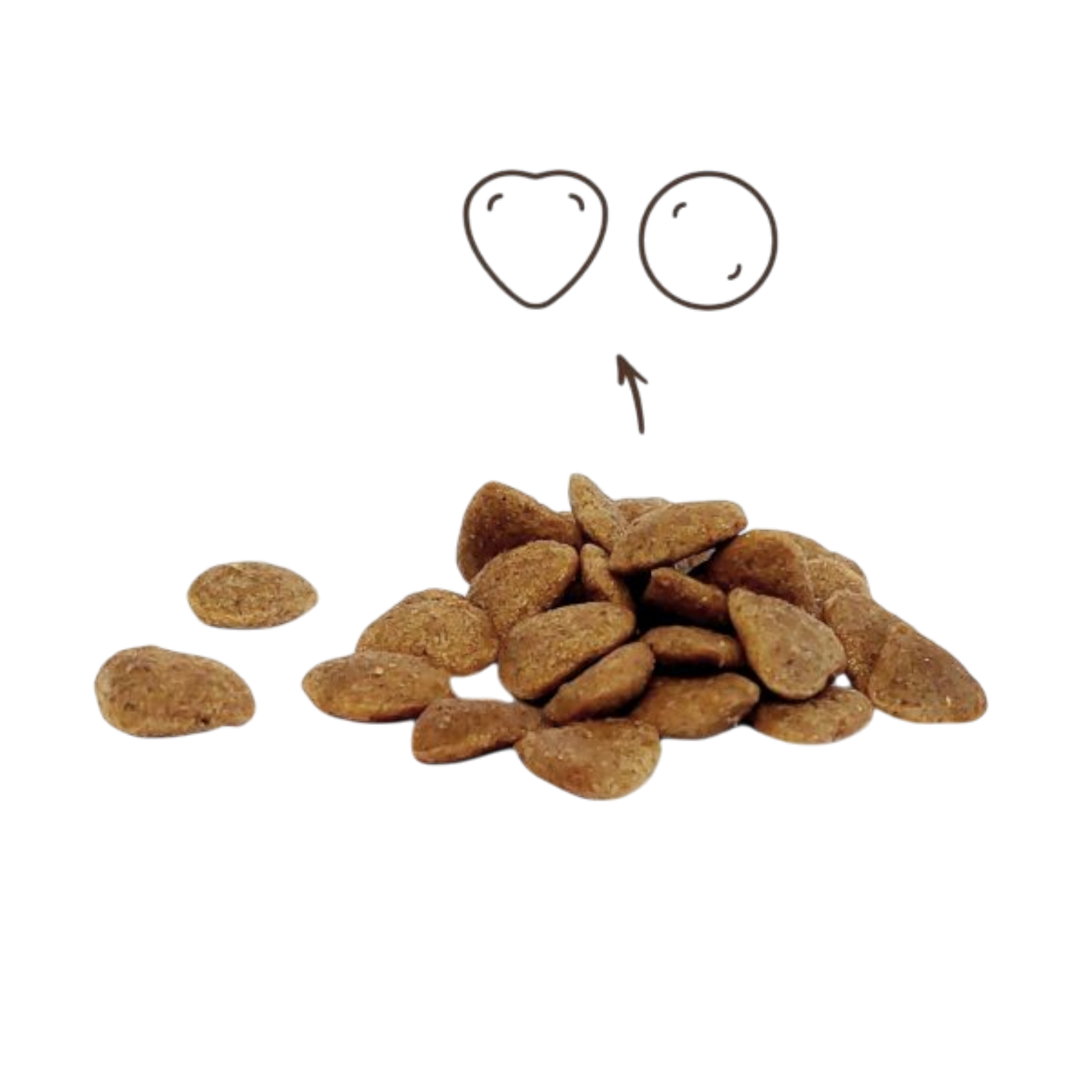 Betty’s Landhausküche Katze Adult – Huhn & Forelle - Zartes Premium-Tr ...